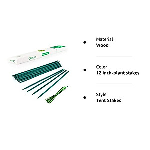 Garsum Green Bamboo Sticks Garden Wood Plant Stakes,Floral Plant Support Wooden,Wooden Sign Posting Garden Sticks,12 Inches 25 Pack