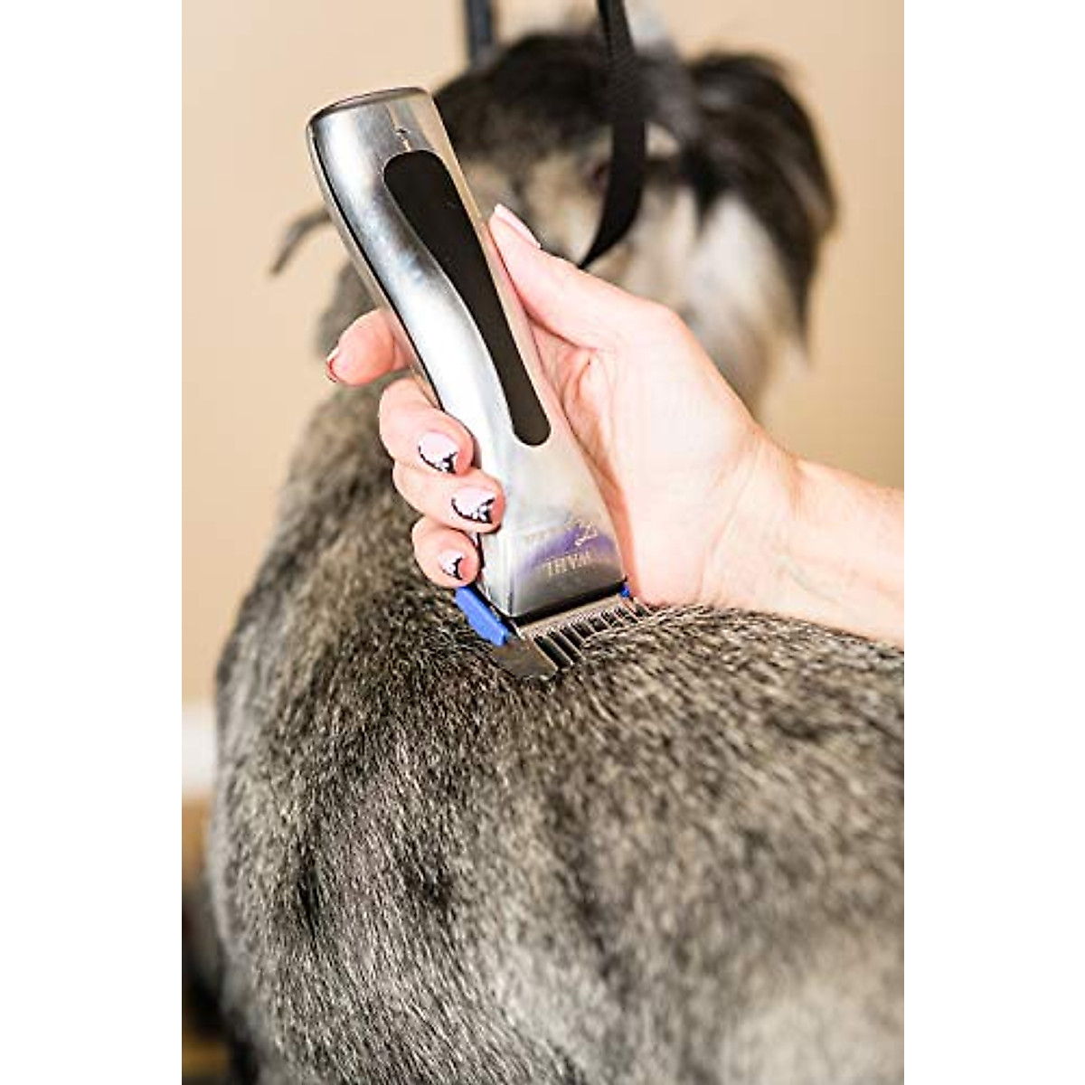 WAHL Professional Animal Figura Pet, Dog, and Horse Cordless Clipper Kit, Chrome (#8868)