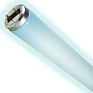 Paraclipse 72651 Replacement Ultraviolet Lamp for Insect Inn Ultra I and II