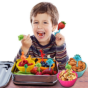 Dinosaur Food Picks for Kids, 18pcs Mini Dinosaur Toddler Fruit Picks, Cute Bento Picks for Lunch Box Decor Accessories