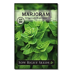 Sow Right Seeds - Herb Garden Seed Collection - Basil, Chives, Parsley, Cilantro, Oregano, Dill, Lavender, Marjoram, Sage & Thyme - Non GMO Heirloom - Instructions to Plant an Outdoor or Indoor Garden