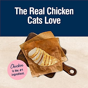 Blue Buffalo True Solutions Blissful Belly Digestive Care Natural Dry Food for Adult Cats, Chicken, 3.5-lb Bag