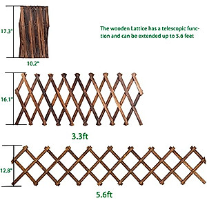 Avalution Extensible Natural Garden Wooden Fence Lattice Frame Plant Support Frame Natural Wooden Lattice Frame for Cucumber Climbing Plant Vines Ivy Rose 75"x11.8" Lattice Fence Panel(2Pack)