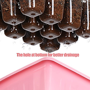 20 Set Seed Starter Tray Seed Starter Kit with Humidity Dome 240 Cells Total Plant Germination Trays with Drain Hole Reusable Propagation Tray Base Mini Greenhouse for Seedling Starting Growing