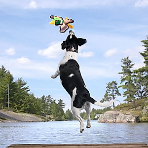 Yzmewael Dog Squeak Toys Stuffed Plush Dog Toys, Crinkle Pet Teething Chew Toys for Puppy, Small, Medium and Large Dogs