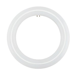 NYLL - 9 Inch/ 9" Plug & Play T9 Circline LED Lamp - Daylight (6000K) Circular Bulb Directly Relamp & Replace 30W Fluorescent Bulb FC9T9, FCL30 (without rewiring or modification) - Ballast Required!