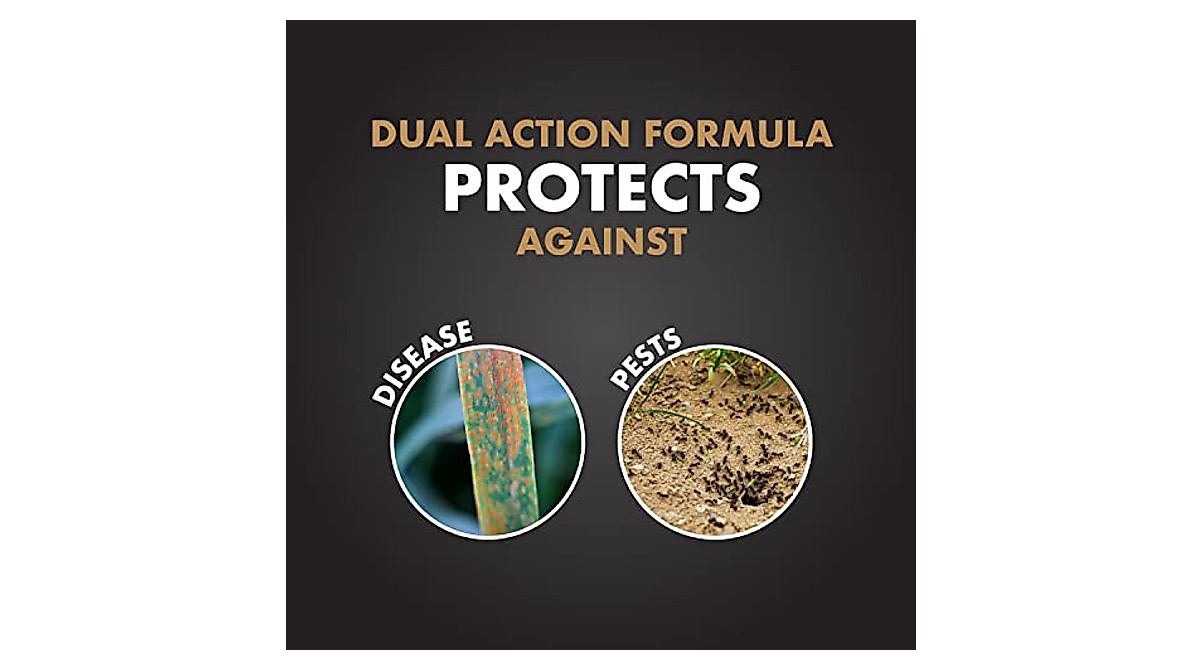 Spectracide Immunox Fungus Plus - 32oz Lawn Care Solution