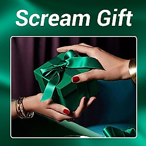 Realistic Vibrator Sex Toys,Clitoral G Spot female Vibrators with 10 Powerful Vibrating Modes,Waterproof Bullet Dildo Anal Stimulator for Adult Sex Toys for Women Couples Dildos rozonii (Red)