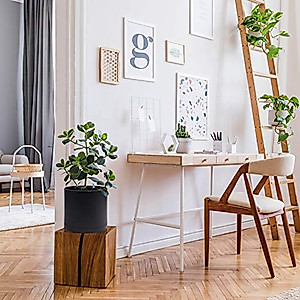 8 Inch Plastic Planter Pots for Plant Pot with Drainage Hole and Seamless Saucers, Black Color, 74-O-S-2