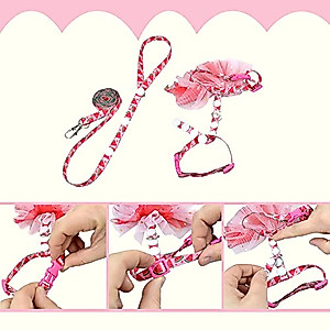 Ferret Harness and Leash Walking Vest Harness with Tutu Skirt Dress for Ferret Rat Hamster Small Pet Outdoor Vest