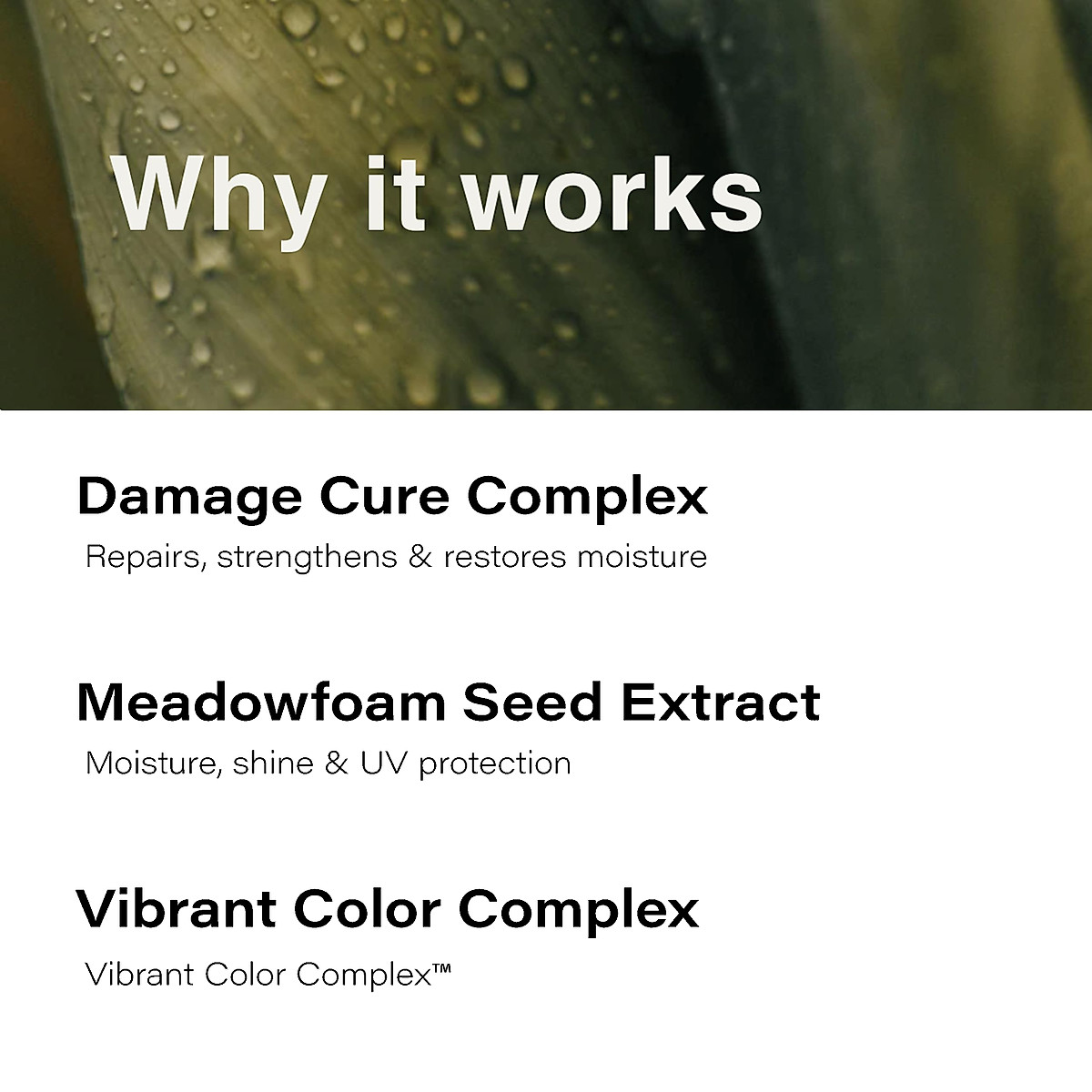 Eufora Beautifying Elixirs Replenishing Treatment 5 oz