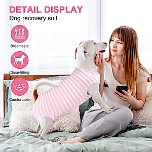 Parderry 2 Packs Dog Recovery Suit for Surgery Dog Onesie Surgical Clothes Bodysuit for Male and Female Substitute E-Collar&amp; Cone