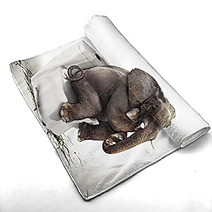 Funny Elephant Sitting on The Toilet Soft Fingertip Towels, Hand Towel, Dish Towel for Bathroom All Season 12 x 27.5 inch