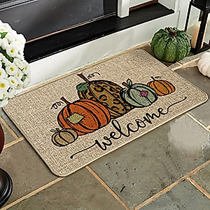 Artoid Mode Pumpkin Welcome Decorative Doormat, Fall Thanksgiving Rustic Yard Floor Mat Switch Mat for Indoor Outdoor 17 x 29 Inch