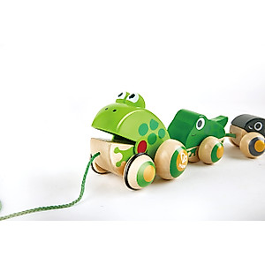 Hape Pull Along Frog Family with Anti-Rollover Wheels, Toddler Push and Pull Toys