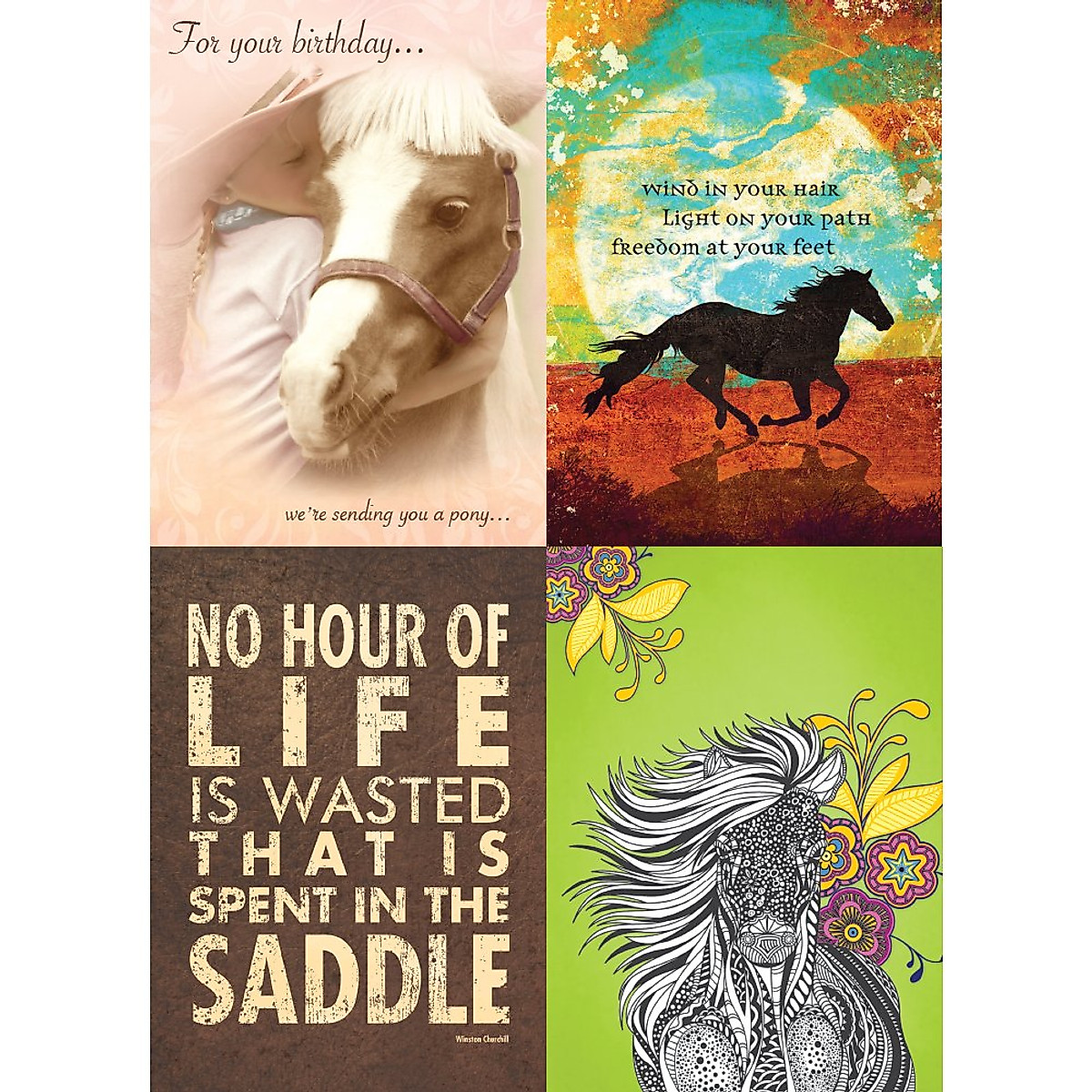Tree-Free Greetings - Birthday Cards - Artful Designs - 8 Assorted Cards + Matching Envelopes - Made in USA - 100% Recycled Paper - 5 x 7 - Horse Love (GA31594)