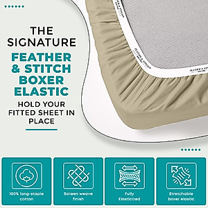 Feather & Stitch 100% Cotton King Size Fitted Sheet, 400TC Sateen Weave Bottom Shee, 17" Elastic Deep Pocket Breathable Durable Sheet|Hotel Luxury Decor|Beige