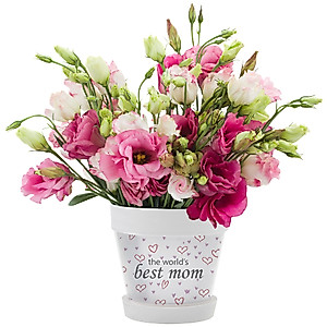 Snapins DIY Kids Craft Flower Pot
