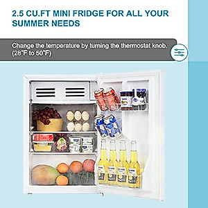 Frestec 2.5 CU' Mini Refrigerator, Small Refrigerator, Mini Fridge with Freezer, Compact Refrigerator, White (FR 250 WH)