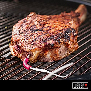 Weber iGrill Pro Meat Probe