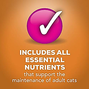 Purina Friskies Gravy Wet Cat Food Variety Pack, Extra Gravy Chunky - (24) 5.5 oz. Cans