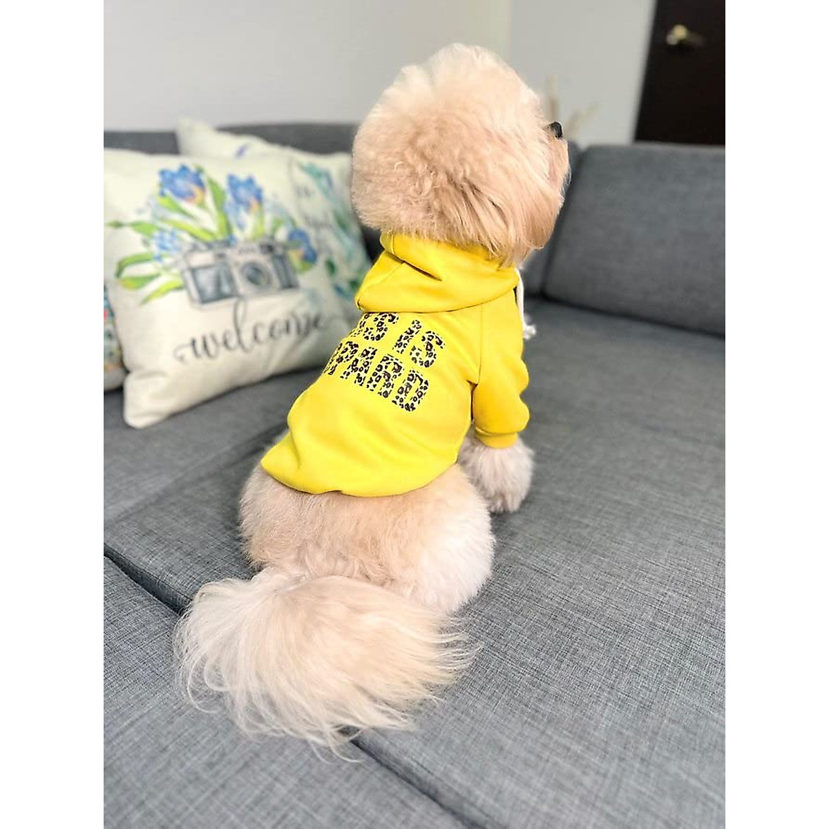 YoPetMax Pet-Parent Matching Leopard Pattern Family Look Pullover Hoodie Sweatershirt for Cat Small Dog Kitten Puppy Dogs&Mommy Outfits Clothes are Sold Separately(XL,Yellow)