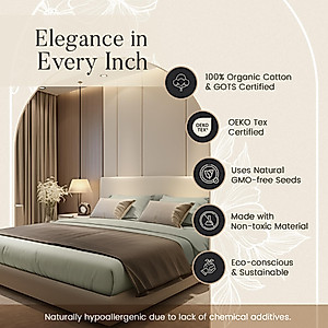 100% Organic Cotton Queen Sheet Set & Standard Pillowcases Set of 2 Combo- 300 Thread Count Long Staple Cotton Sheets,3 Pc Queen Size Sheets & Standard Pillowcases, Sateen Sheets, Breathable - Sage