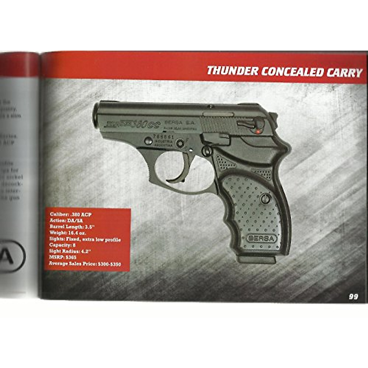 CARRY GUN COMPANION, 2nd AMENDMENT MEDIA (HIGHLIGHTING HANDGUNS FOR TODAY'S CONS