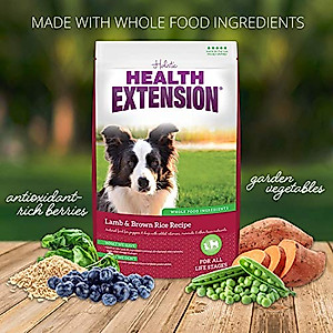 Health Extension Dry Dog Food, Natural Food for All Puppies & Dogs with Added Vitamins & Mineral, Lamb & Brown Rice Recipe (30 lb / 13.6 Kg)