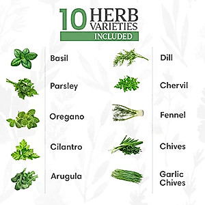 Herb Garden Indoor Herb Garden Starter Kit Easily Grow 10 Herbs Seeds - Indoor Herb Planters - Herb Garden Growing Kit - Grow Basil, Cilantro, Chives, Arugula and More - Gardening Gifts