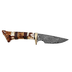 Damascus Steel Hunting Knife - Fixed Blade Knives with Sheath - Firm Grip Handle Made of Stag Horn(ST2)
