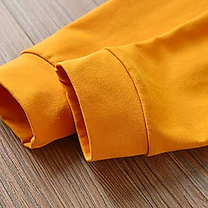 Rebey Toddler Infant Baby Boy Clothes Striped Long Sleeve Hoodie Tops Sweatsuit Pants Outfit Set (12-18 Months) Yellow