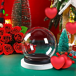 Tuanse 4-Piece Glass Dome Display Showcase with Wood Base - DIY Craft Keepsake Globe Display Case - Gifts for Women, Wedding Tabletop Centerpiece Decoration