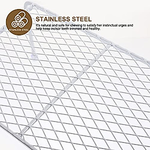 PATKAW Hamster Cage Platform Stainless Steel Rutin Chicken Rack Wire Chicken Coop Platform with Climbing Ladder for Mouses Rat Gerbil Dwarf Hamster