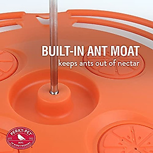 Perky-Pet Plastic 16-Ounce Oriole Feeder- 467-3