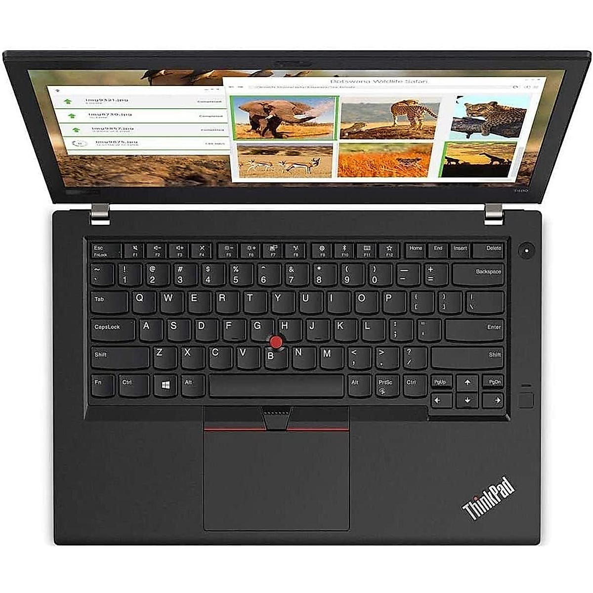 Lenovo ThinkPad T480 14 HD Laptop - Intel Core i5-8350U, 16GB RAM, 256GB SSD, Webcam, Windows 10 Pro (Renewed)