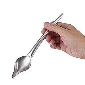 Fdit Wilton Drizzling Spoon, Stainless Steel Saucier Drizzle Spoon with Tapered Spout Precision Drawing for Decorating Plate (L)