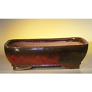 Parisian Red Ceramic Bonsai Pot - Rectangle 12.0 x 9.5 x 3.375