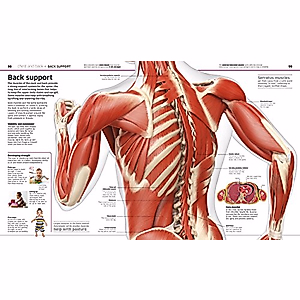 Knowledge Encyclopedia Human Body! (DK Knowledge Encyclopedias)