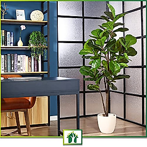 CROSOFMI Artificial Fiddle Leaf Fig Tree 65 Inch Fake Ficus Lyrata Plant with 68 Leaves Faux Plants in Pot for Indoor Outdoor House Home Office Garden Modern Decoration Perfect Housewarming Gift