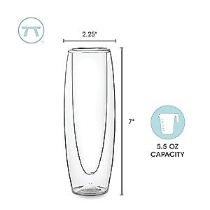 Outset Stemless Champagne Flutes Double Wall Glassware, Borosilicate Glass 2 Count (Pack of 1)