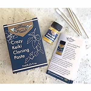 Southside Plants Keiki Cloning Paste - Natural Miracle Growth & Food Formula for Orchid Plants Hormones & Vitamins - Includes Instruction Booklet | 0.25oz