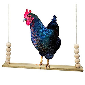 Chicken Swing Coop Toy Made in USA! Natural Wood Safe Durable Flat Bar Perch Ladder for Poultry Run Rooster Hens Chicks Pet Parrots Macaw Entertainment Stress Relief for Birds