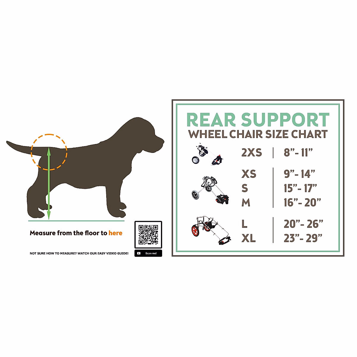 Best Friend Mobility Standard Rear Support Dog Wheelchair FML Elite, Large