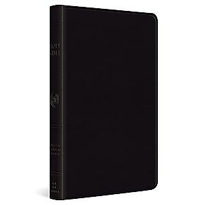 ESV Large Print Value Thinline Bible (TruTone, Black)