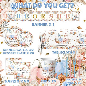 Pumpkin Gender Reveal Decorations Tableware, 142 Pcs Fall Gender Reveal Decorations includes He Or She What Will Our Pumpkin Be Plates and Fall Napkins, Pumpkin Gender Reveal for Fall Baby Shower