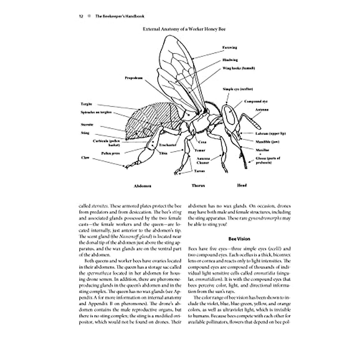 The Beekeeper's Handbook