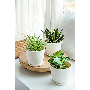 Mkono Macrame Plant Hangers with Pots Indoor Set of 2 Hanging Planters Holder 6.5 Inch Plastic Planter Included Self Watering Hanging Pots for Plants with Saucers & Perforated Insert, 41 Inch