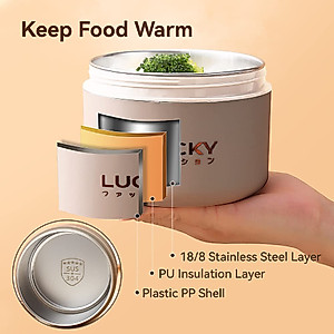 LANSKYWARE Portable Insulated Lunch Container set, Bento Box Adult Lunch Box Set with Insulated Lunch Bag, 4 Separate Stackable Thermal Food Lunch Container for Adult, Brown