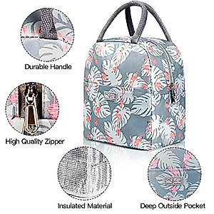 3 Pack 33.8oz Bento Box Glass Meal Prep Containers 3 Compartments Glass Food Storage Containers with Lids Meal Prep Bowls Lunch Box Glass Food Prep Containers Lunch Containers for Microwave Oven